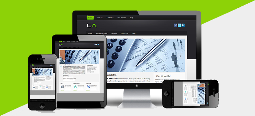 Responsive Website Design Theme for Chartered Accountants